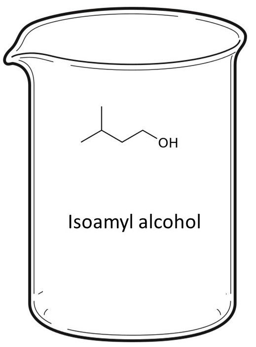 Isoamyl Alcohol | Essencia Aromatics Pvt. Ltd.